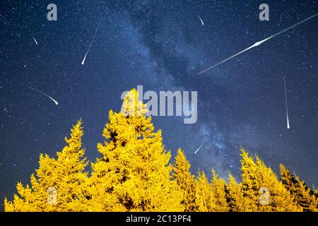 Falling stars pine trees Milky Way Stock Photo - Alamy