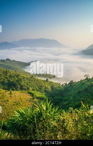 Ocean Of Mist Stock Photo - Alamy