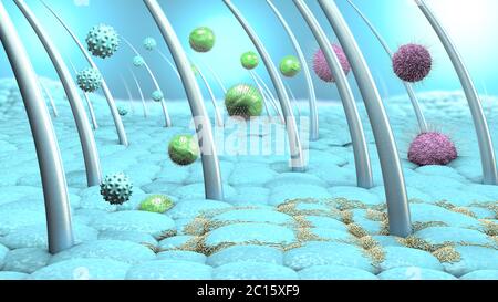 3d illustration of viruses and bacteria entering the human skin Stock ...