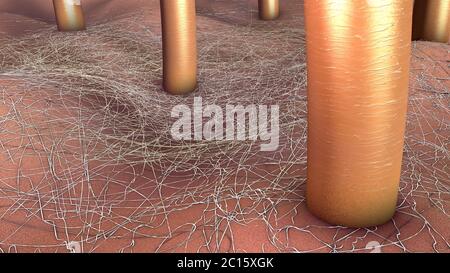 Microscopic close-up of a fungal infection of the upper skin layer ...