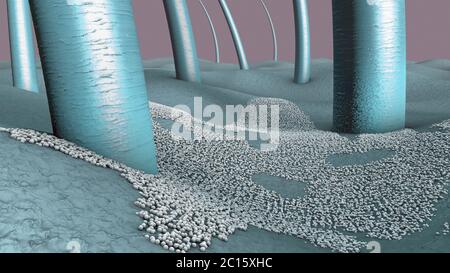 Microscopic close-up of a fungal infection of the upper skin layer ...