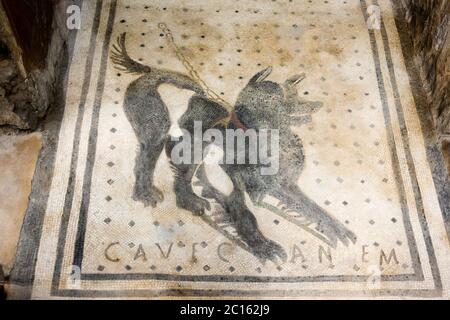 Cave Canem (Beware the dog) mosaic in the ancient roman site of Pompeii ...