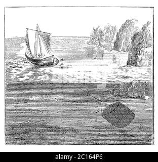 18th century illustration of oysters collecting by rakes. Published in ...