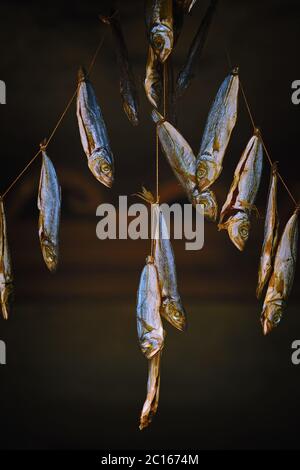 dried fish hanging on a rope Stock Photo - Alamy