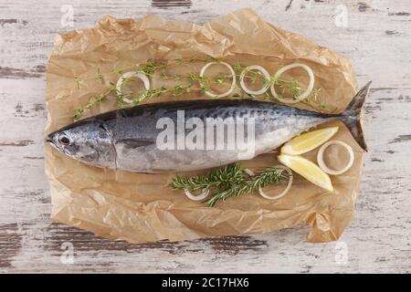 Fresh tuna fish on baking paper Stock Photo - Alamy