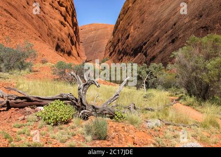 The Uluru rock formations in the centre of Australia Stock Photo - Alamy