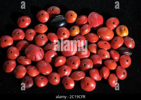 Colored Round Seeds Stock Photo - Alamy