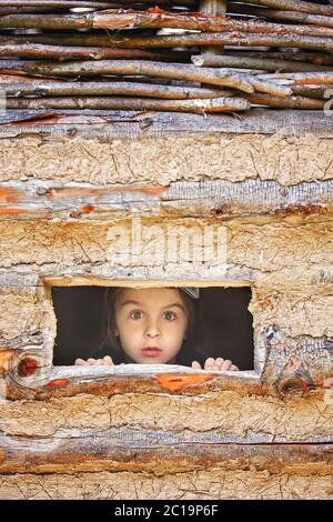 Curious child, boy, peering from a small window in wooden shrub, making ...