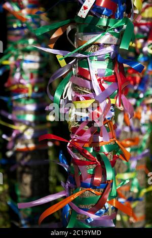 Red ribbons on a wishing tree at a Chinese temple in Hainan, China ...