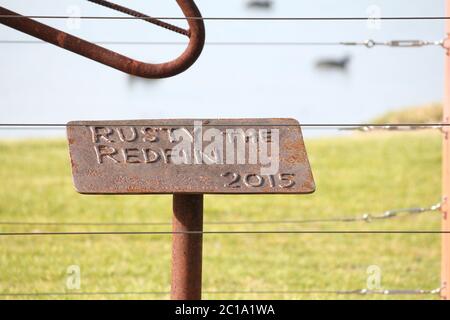Rusty the redfin at little boort lake, Australia Stock Photo - Alamy
