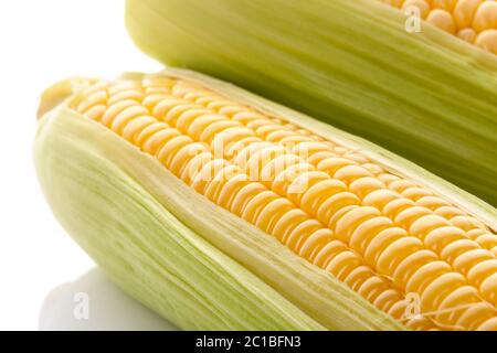Close-up shot of corn cobs isolated on a white background Stock Photo ...