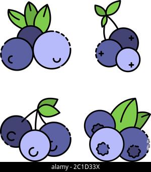 Huckleberry. Outline icon of berries and leaves. Blueberry or ...