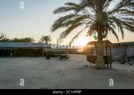 Israel, Palm, Sunset, Beduin Tents, Negev, Taken on a very hot day ...