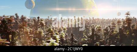 exoplanet landscape, beautiful forest on an alien world Stock Photo - Alamy