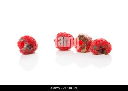 Rotten raspberries on white Stock Photo - Alamy