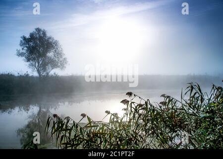 moon or sun rising over abstract colorful landscape, blank circular ...