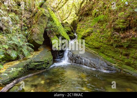 River between rain forest with mossy rocks Stock Photo - Alamy