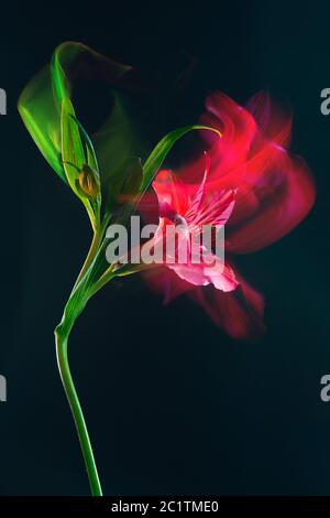 Abstract long shutter speed background Stock Photo - Alamy