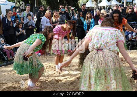 Pictured: traditional Aboriginal women’s dance performance Stock Photo ...