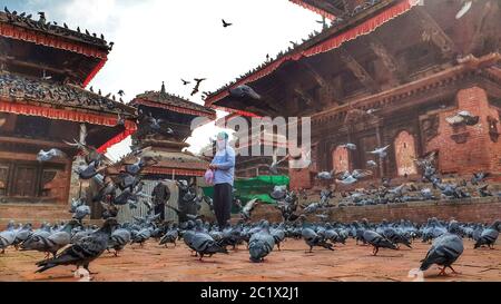 Kathmandu, Nepal. 16th June, 2020. Pigeons fly as a Nepali woman feeds ...