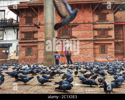 Kathmandu, Nepal. 16th June, 2020. Pigeons fly as a Nepali woman feeds ...