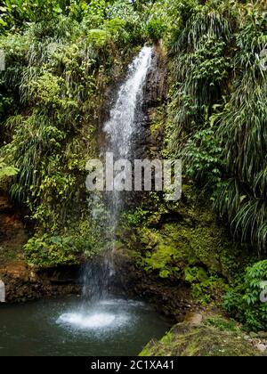 Caribbean - St Lucia, Toraille Waterfalls in the Caribbean Sea Stock ...