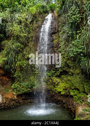 Caribbean - St Lucia, Toraille Waterfalls in the Caribbean Sea Stock ...