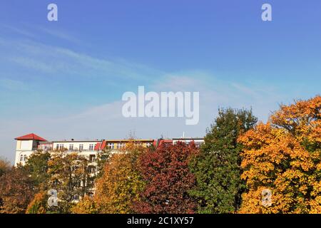 idyll of herbs Stock Photo - Alamy