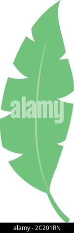 sago leaf icon over white background, flat style, vector illustration ...