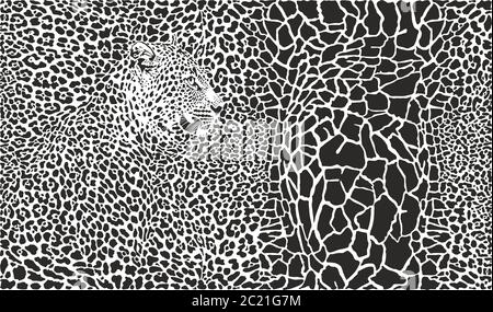 Background giraffe and leopard Stock Photo - Alamy