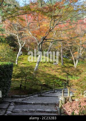 Autumn colored garden in Tenryuji temple during autumn season in ...