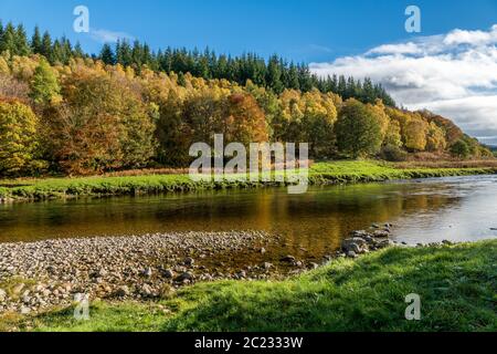 River Dee just below potarch Bridge in autumn Stock Photo - Alamy