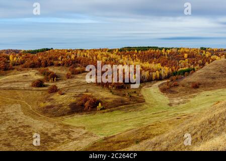 Autumnal forest with fields and hills at overcast day Stock Photo - Alamy
