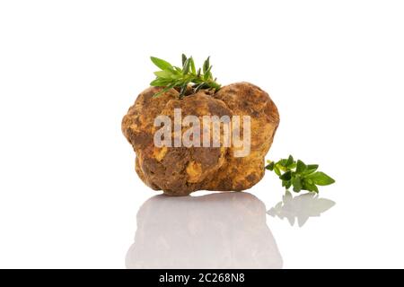 White truffle (tuber magnatum) isolated on white Stock Photo - Alamy