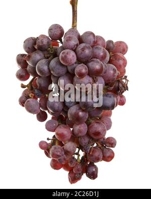 A bunch of overripe grapes isolated on white background Stock Photo - Alamy