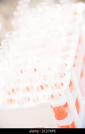 Laboratory glass items adding drop to one of several test tubes. A ...