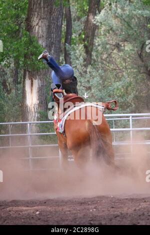 cowboy falling off horse in the desert Stock Photo - Alamy