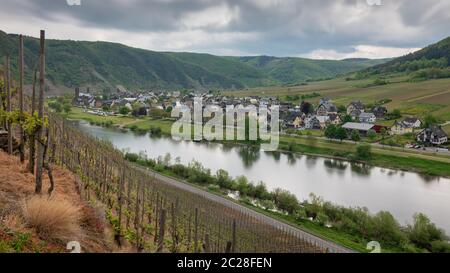 Panoramic image of bodies of water, idyllic scenery within the ...