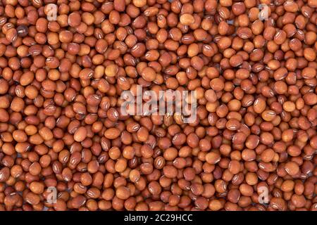 Cajanus cajan. Pigeon pea seed. Tropical green pea, tuver, toor dal or ...