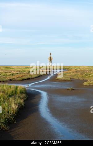 Tidal creek in a mud flat, Mellum Island, Lower Saxony Wadden Sea ...