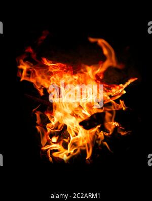 Flames of fire on a black background. Burning wood in the fireplace ...