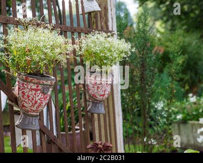 summer time in a german garden with many dahlias Stock Photo - Alamy