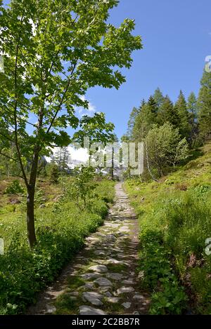 Mountain pass of Montets Stock Photo - Alamy