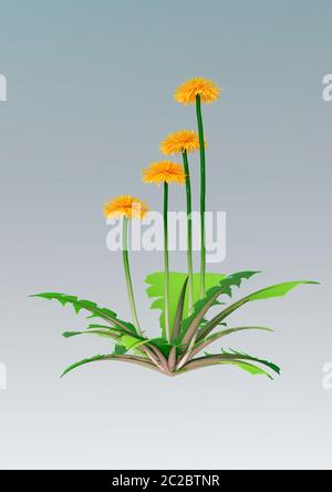 3D rendering of dandelion flowers isolated on light blue background ...