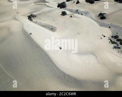 desert withered earth sand Stock Photo - Alamy