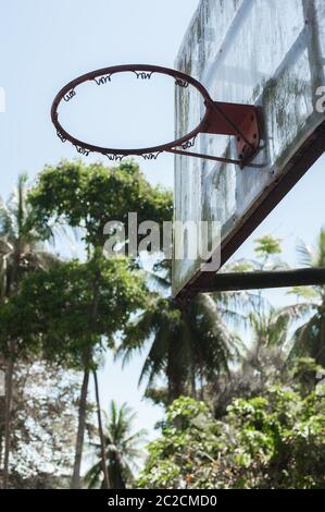 old Basketball hoop in a forest in front of trees Stock Photo - Alamy