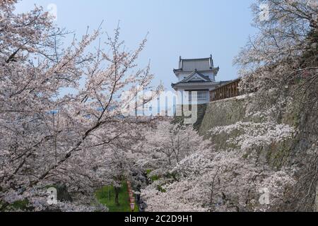 Tsuyama Castle was built about 400 years ago. It has been selected as ...