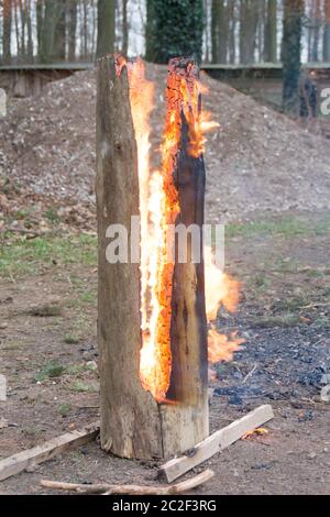 flame of forrest Stock Photo - Alamy