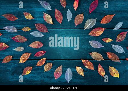 november template with autumn leaves on green background with copy ...