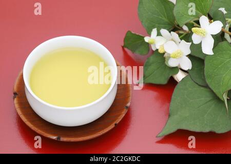 Houttuynia cordata tea, healthy dokudami drink, on black background ...